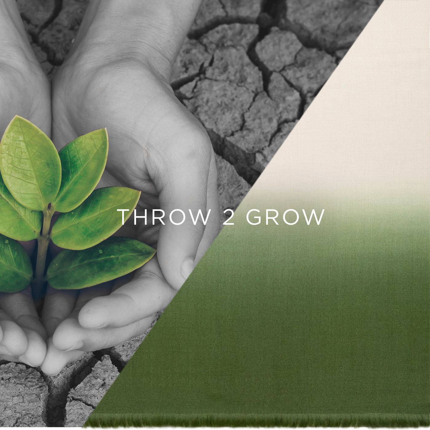 Throw 2 Grow Campaign - Rosemary Hallgarten